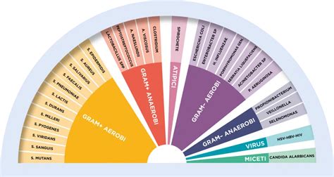 Chlorhexidine Gold Standard And Ads System Curasept Việt Nam