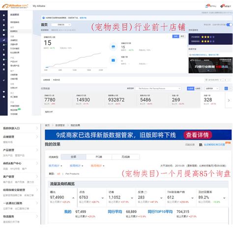 揭秘！阿里巴巴国际站运营实操全攻略，新手也能轻松上手！🚀 阿里巴巴 淘宝百科网