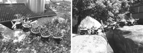 A Swarm Bot Robot Composed By Six S Bots Entering A Building From A