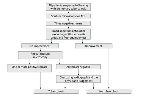 Algorithm Of Smear Negative Tuberculosis Diagnosis In Hiv Negative Download Scientific Diagram