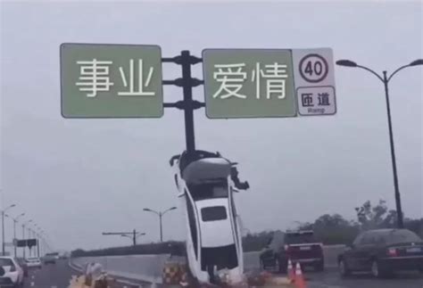 2019 2023年上海市普陀区高三语文一模二模作文解析及优秀范文上 知乎