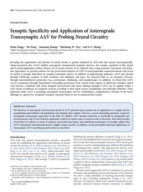 Pdf Synaptic Specificity And Application Of Anterograde Trans Synaptic Aav For Probing Neural