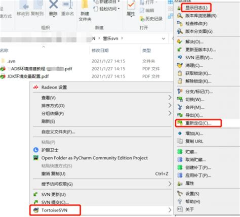 SVN详细使用教程 yinghualeihenmei 博客园