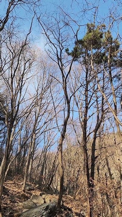 155 투정부리는 딸과 등산하며 깨달은 점 등산 엄마와딸 사춘기 Youtube