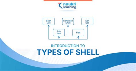 Different Types Of Linux Os