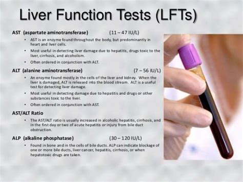 The Meaning Of Alanine Aminotransferase Test In Liver Disease Diagnosis