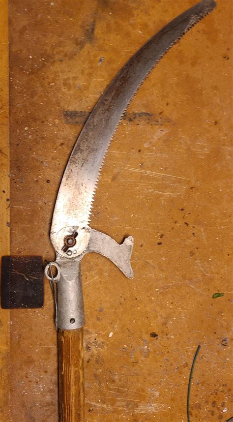 Tree Branch Trimmer Brand Rlandscaping