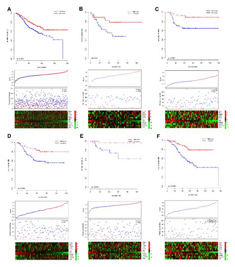 Figure 2 From Immune Related Gene Based Model Predicts The Survival Of Colorectal Carcinoma And