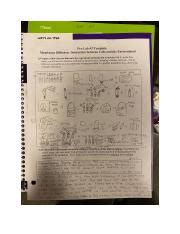 Pre Lab 3 Docx Course Hero