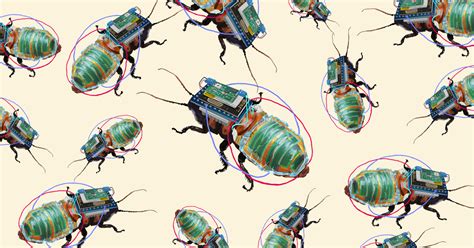 Cyborg Cockroaches To The Rescue It Aint Magic