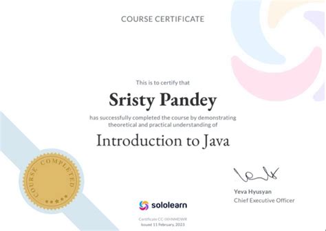 Sristy Pandey On Linkedin Sololearn Coding Java