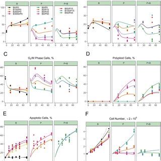 Temporal Profiles Of Cell Cycle Distribution Proliferation And Download Scientific Diagram