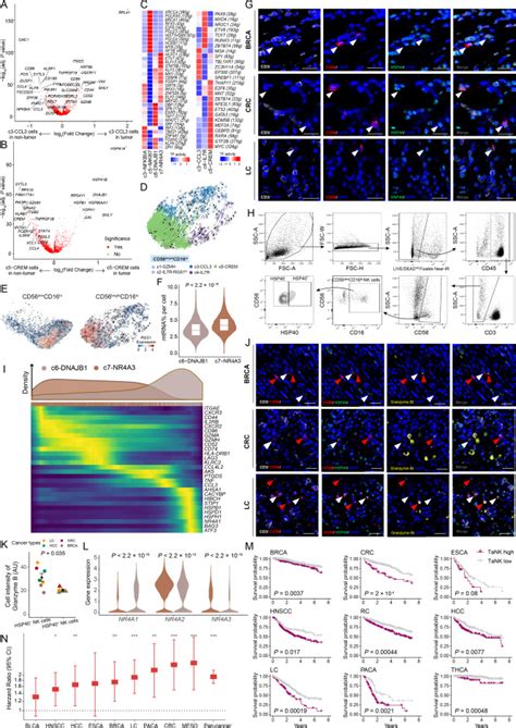 A Pan Cancer Single Cell Panorama Of Human Natural Killer Cells Cell