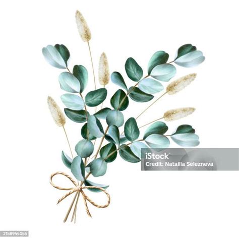 유칼립투스 가지 건조 식물 꼬기 활과 현실적인 꽃다발 수채화 손으로 그린 녹색 식물은 투명한 배경에 고립되어 있습니다 크리스마스 겨울 결혼식 일러스트 디자이너 초대장 장식