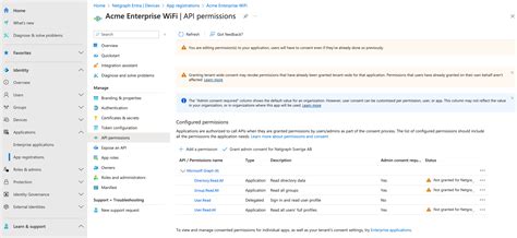 Create Microsoft Graph Api Credentials And Permissions Netgraph
