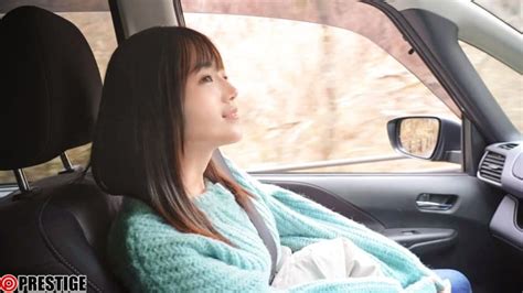 Prestige Premium Treasure