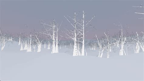 Ethan Cline Cole 2025 Senior Art Show Carleton College