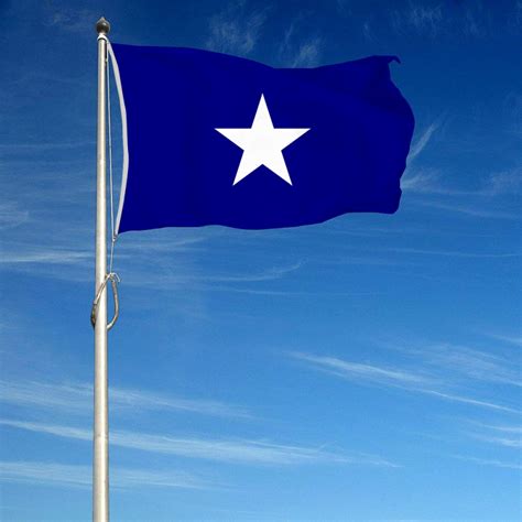 The United States Bonnie Blue Flag