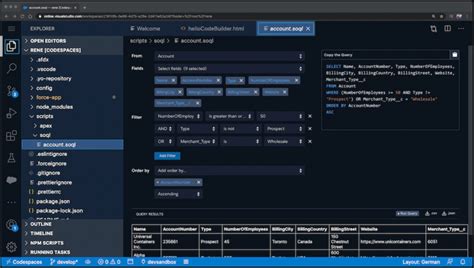 Salesforce Introduces New Developer Tools For Building Scaling And