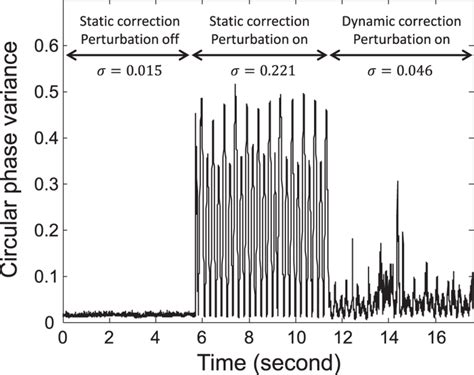 Circular Variance Of The Phase Measured In Every Core Of The Pm