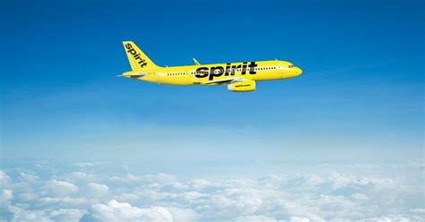 Spirit Airlines Nk Company Facts And Work Culture Cabin Crew Hq
