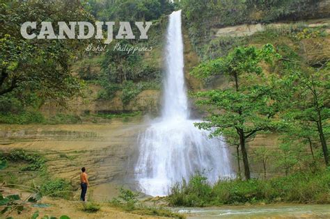 Candijay Bohol Bohol Bohol Philippines Rice Terraces