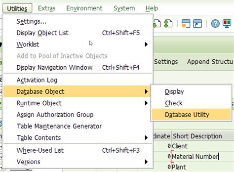 Sap 테이블 활성화 에러 해결하기