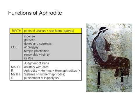Aphrodite Artemis Functions Of Aphrodite Birth Penis Of