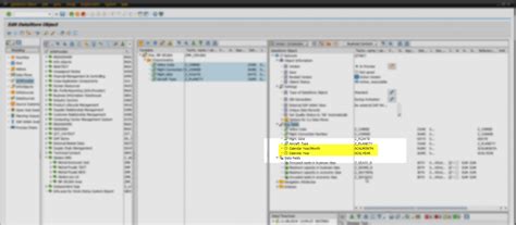 diel Dáta Store Object DSO v SAP