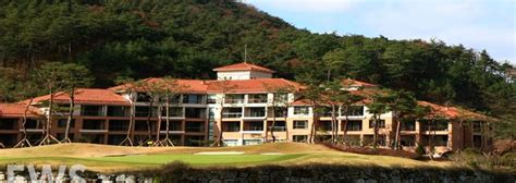 해남 파인비치cc 골프