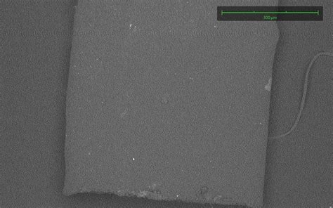 5 Approaches For Optimizing Sem Imaging Of Nonconductive Samples