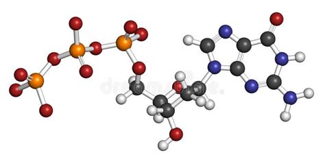 Deoxyguanosine Triphosphate Dgtp Nucleotide Molecule Dna Building