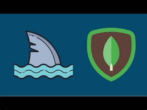 Free Video Wiresharking Mongodb Decrypting Tls Traffic Mongo
