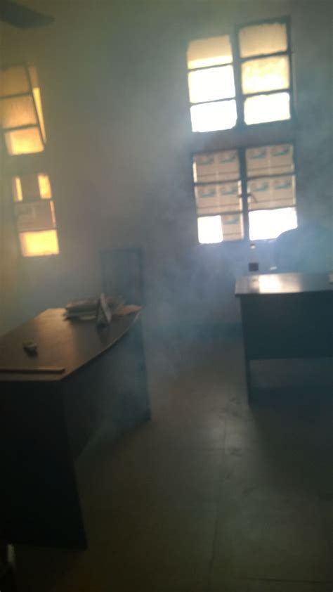 Fumigation Fumigation Proposal