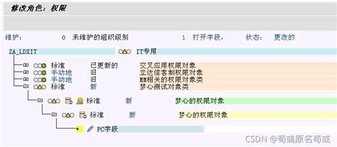 sap abap中自定义权限对象（authority check） ＜转载＞ sap 自定义权限对象 csdn博客