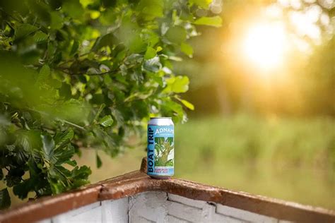 Adnams X Deya Brewing Company Adnams Plc