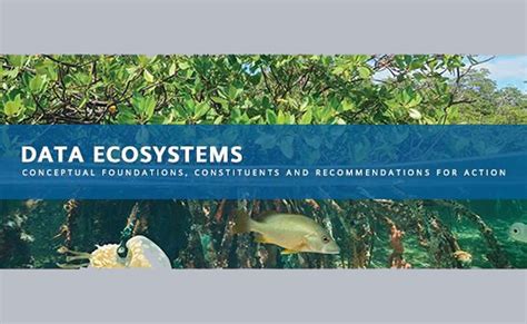 Data Ecosystems Download Thumbnail