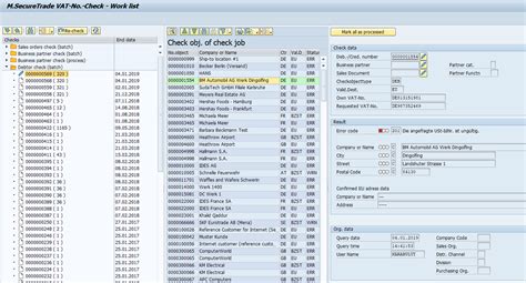 VAT Number Check In SAP