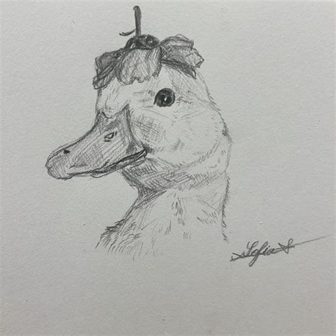 Ducky Duck Duck Duck With Flower On Head Drawing Duck Drawinf
