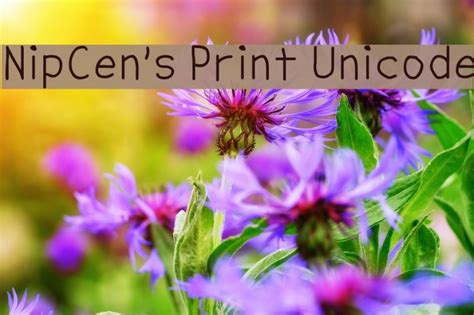 NipCen S Print Unicode Font FFonts Net