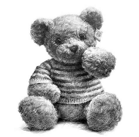 Pin By Linda Bestler On Graphite Drawings In 2025 Teddy Bear Drawing