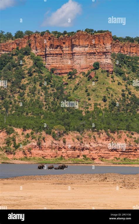 African Elephant Loxodonta Africana Under The Chilojo Cliffs In