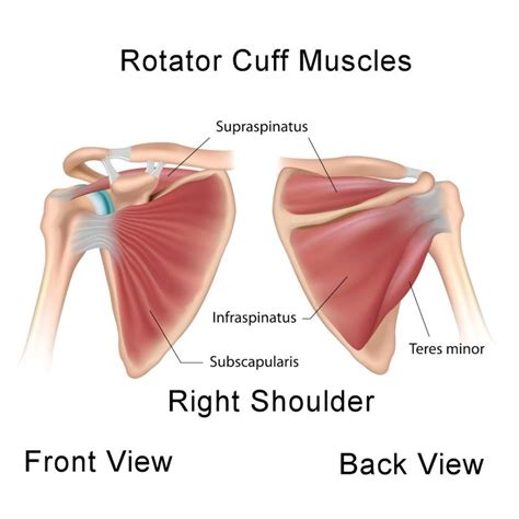 Rotator Cuff Pain Relief Do I Need Surgery For Shoulder Pain