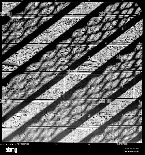 Hb47015 00 South Dakota Shadows Of Steps On A Wall In The Town Of Wall Hasselblad 500c M