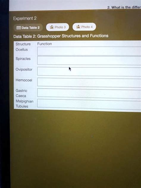 Whatis The Differ Experiment 2 Edata Toblo 2 Photo Photo Data Table 2 Grasshopper Structures And