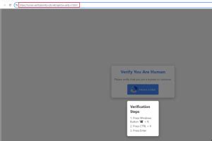 Behind The CAPTCHA A Clever Gateway Of Malware McAfee Blog
