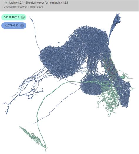 Draw Neuron Skeletons And Synaptic Connections Using Python By Wenbin