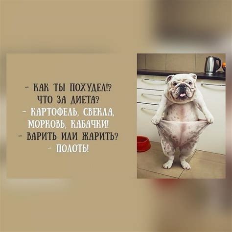 Консультант по питанию Какой темп похудения в месяц считается физиологически нормальным