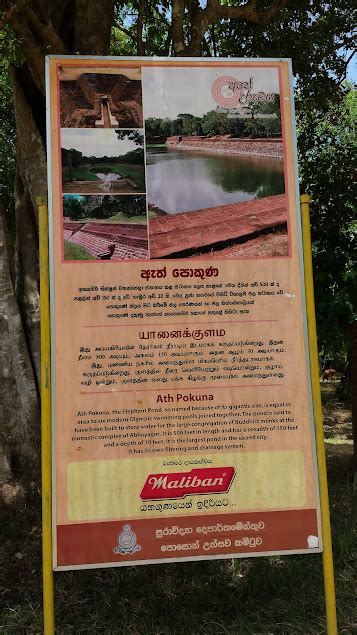 Eth Pokuna Elephant Pond ඇත් පොකුණ Amazing Sri Lanka