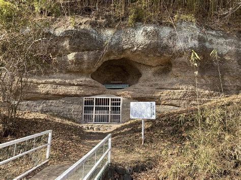 ヒカリゴケ｜koro